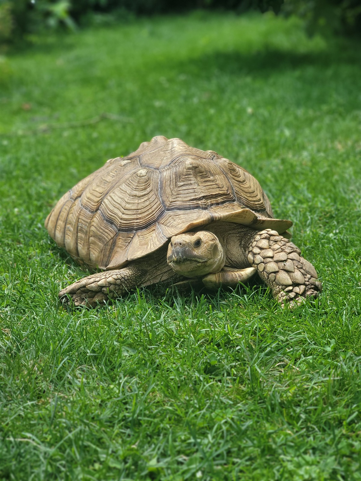 NJ Wildlife Program | Morris County Library