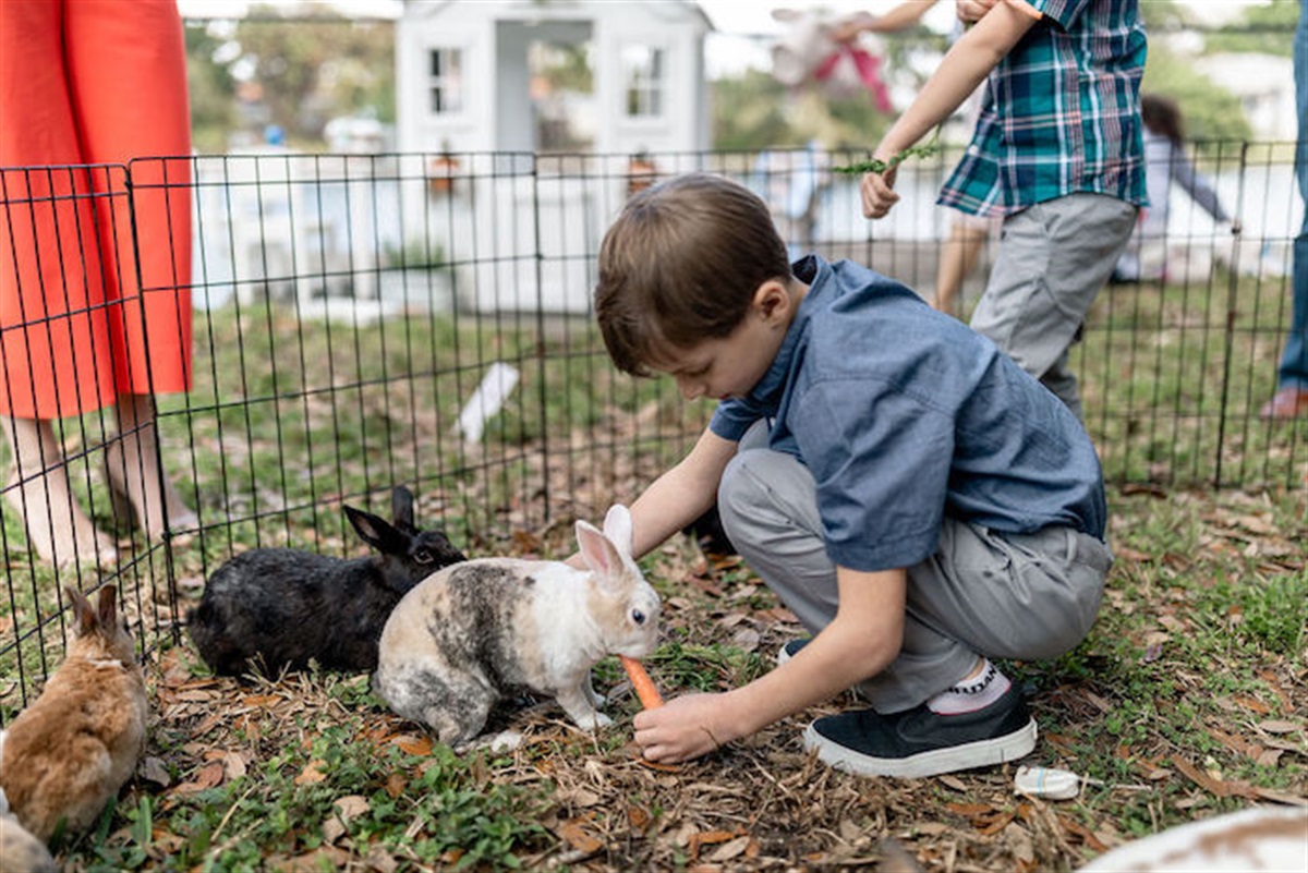 Children's Summer Reading Kickoff Party | Morris County Library